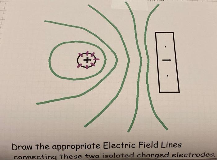 Solved . + Draw the appropriate Electric Field Lines | Chegg.com