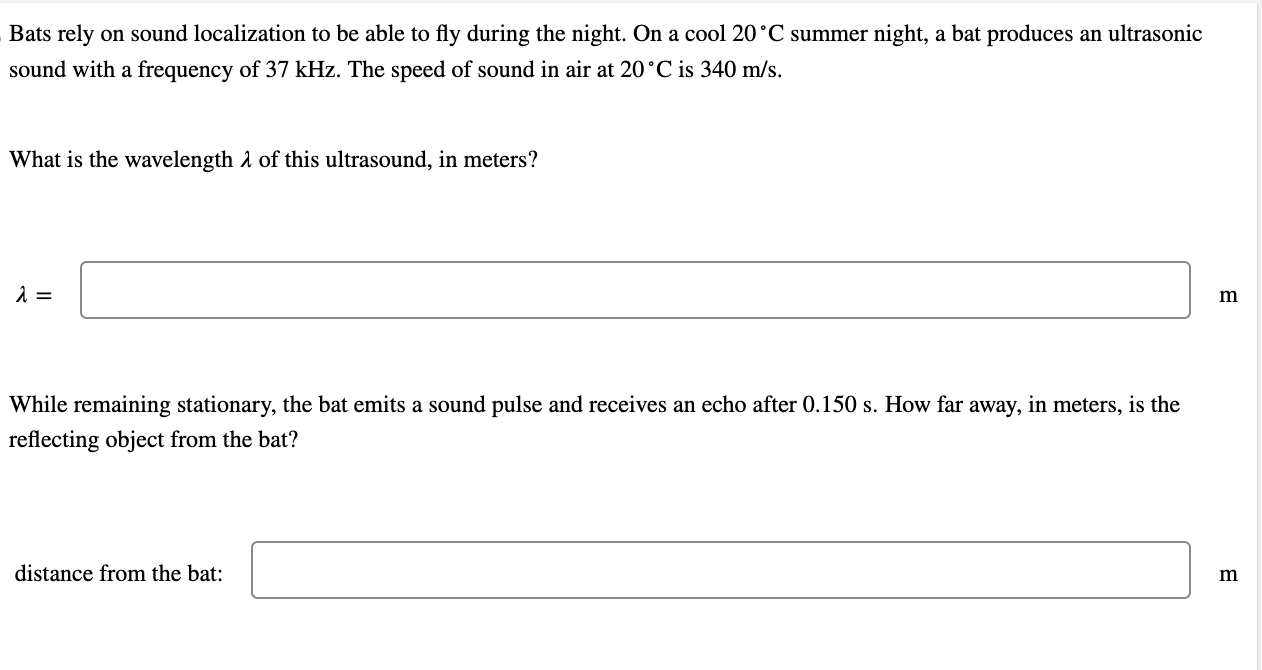 Solved Bats rely on sound localization to be able to fly | Chegg.com