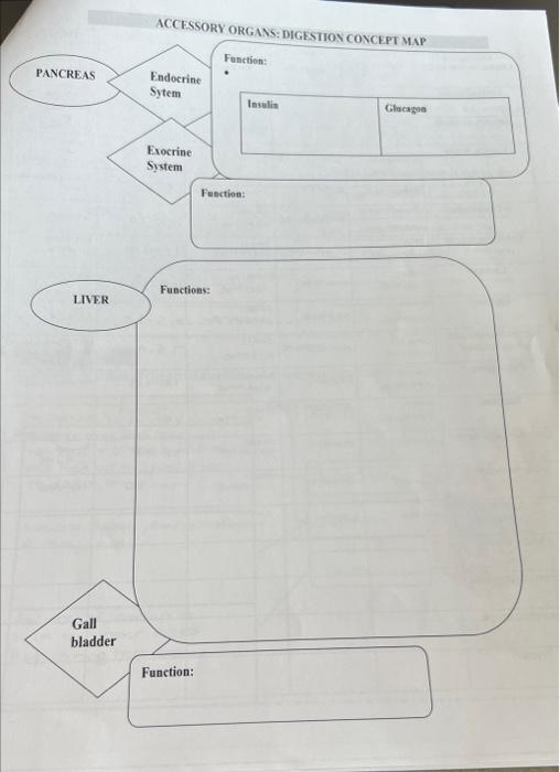 Solved ACCESSORY ORGANS: DIGESTION CONCEPT MAP | Chegg.com