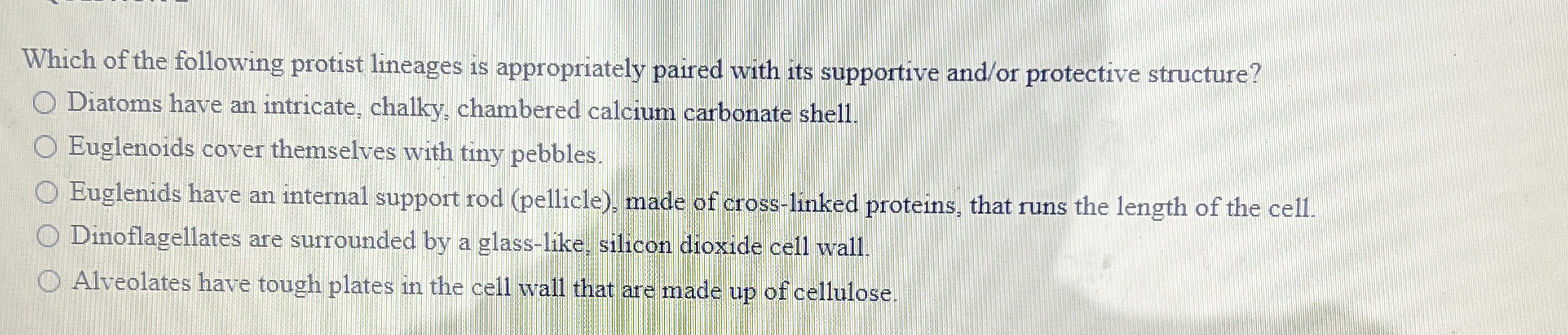Solved Which of the following protist lineages is | Chegg.com