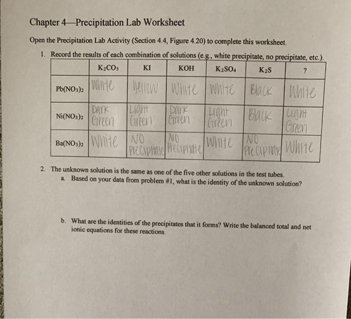 Solved Chapter 4Precipitation Lab Worksheet Open the | Chegg.com