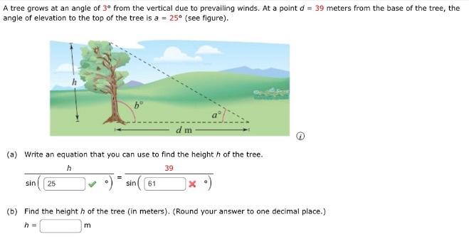 Solved A tree grows at an angle of 3∘ from the vertical due | Chegg.com