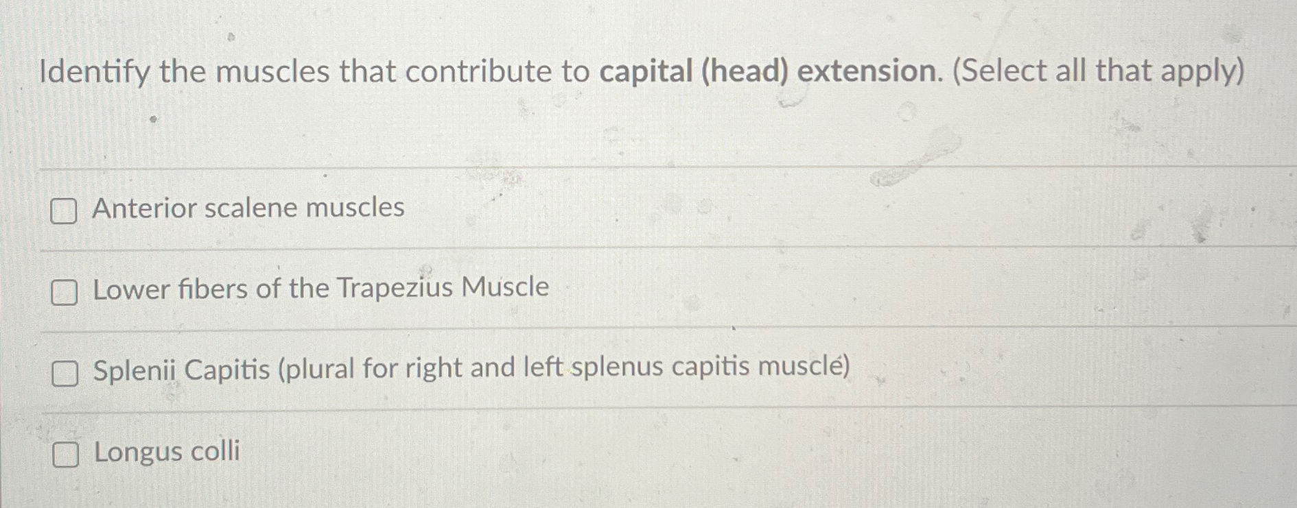 Solved Identify the muscles that contribute to capital | Chegg.com