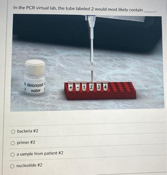 Solved In the PCR virtual lab, the tube labeled 2 would most | Chegg.com