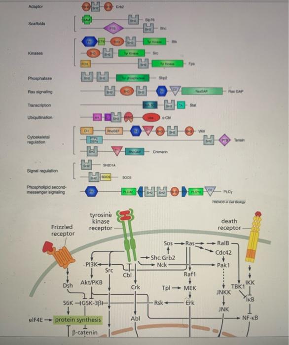 Solved The first picture demonstrates the modular nature of | Chegg.com