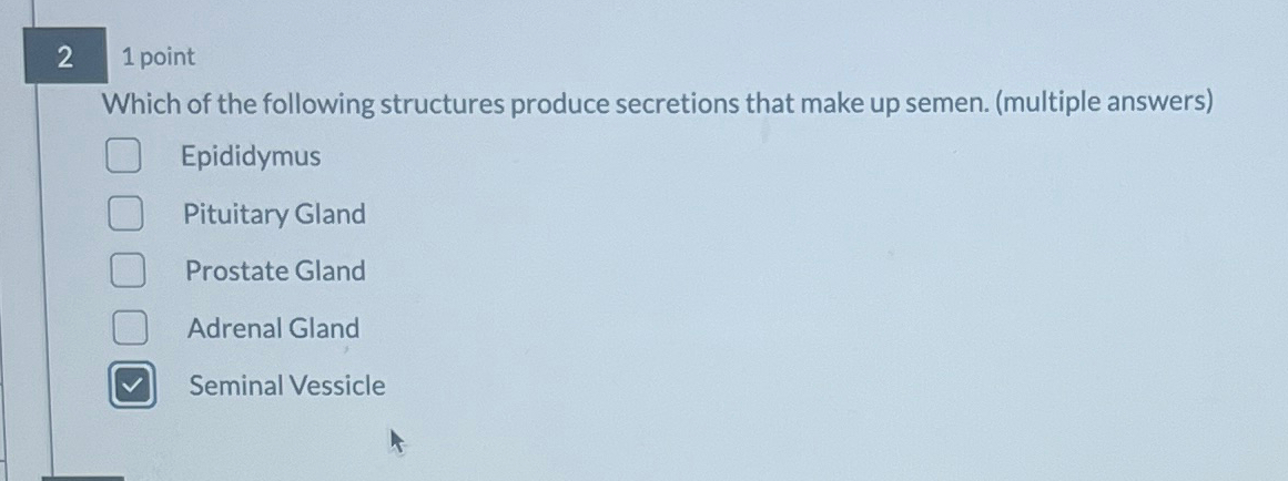 Solved 21 ﻿pointWhich of the following structures produce | Chegg.com