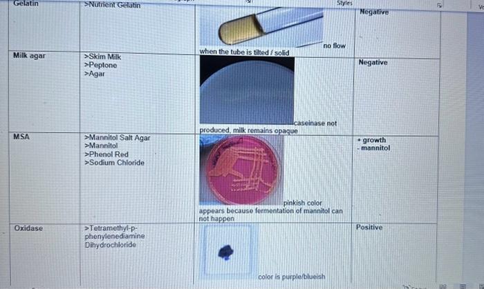 Solved Based on the following test observed: - Gram stain > | Chegg.com