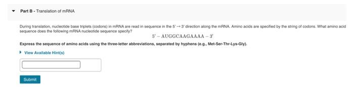 Solved Part B - Translation of mRNA During translation, | Chegg.com