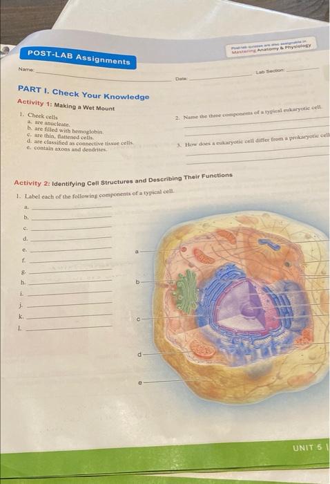 Solved POST-LAB Assignments Anatomy Name PART 1. Check Your | Chegg.com