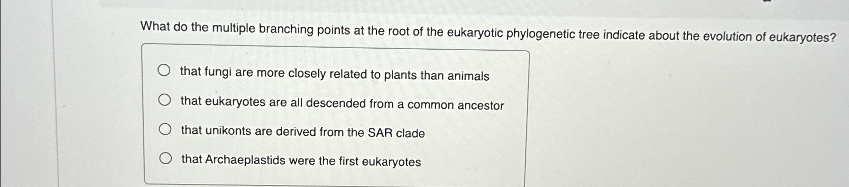 Solved What do the multiple branching points at the root of | Chegg.com