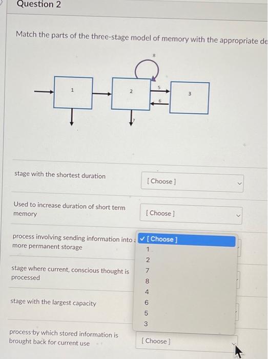 Match the parts of the three-stage model of memory | Chegg.com