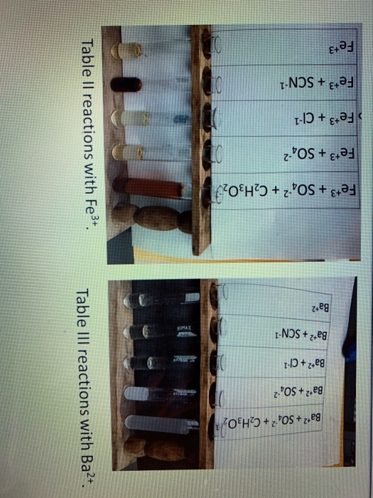 Solved Ba®2 + 50, 2 + C2H30,1 Ba*2 + SO42 Table III | Chegg.com