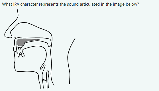 Solved What IPA character represents the sound articulated | Chegg.com