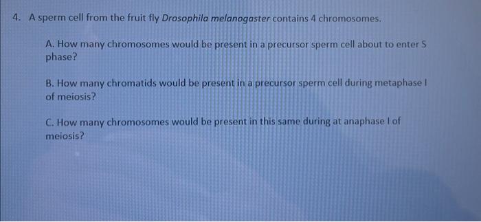 Solved A sperm cell from the fruit fly Drosophila | Chegg.com