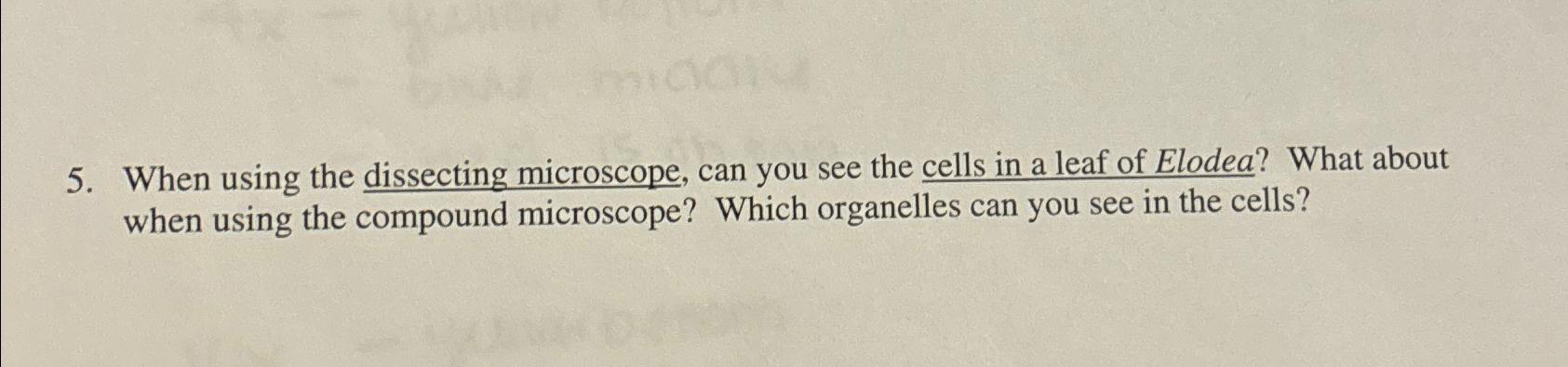 Solved When using the dissecting microscope, can you see the | Chegg.com