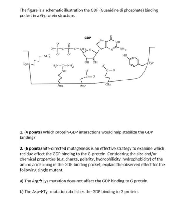 Solved The figure is a schematic illustration the GDP | Chegg.com
