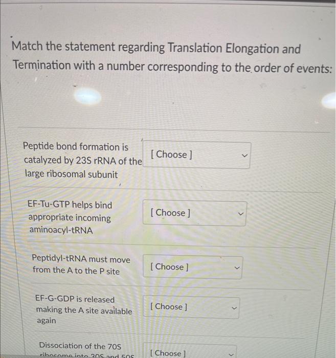 Solved Match the statement regarding Translation Elongation | Chegg.com
