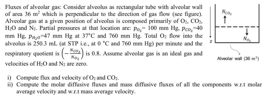 Solved Fluxes of alveolar gas: Consider alveolus as | Chegg.com