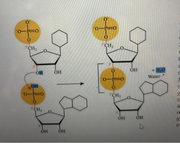 Solved what is thos chemical reaction, maveomolecule | Chegg.com