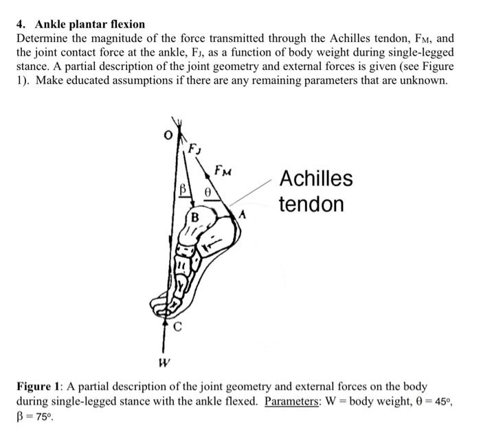 Solved 4. Ankle plantar flexion Determine the magnitude of | Chegg.com