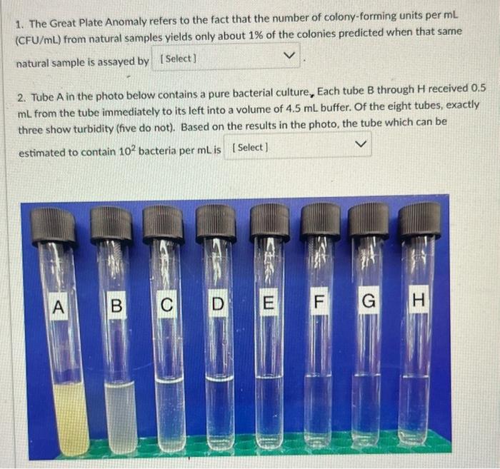 Solved 1. The Great Plate Anomaly refers to the fact that | Chegg.com