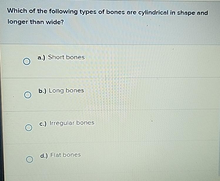 Solved Which of the following types of bones are cylindrical | Chegg.com