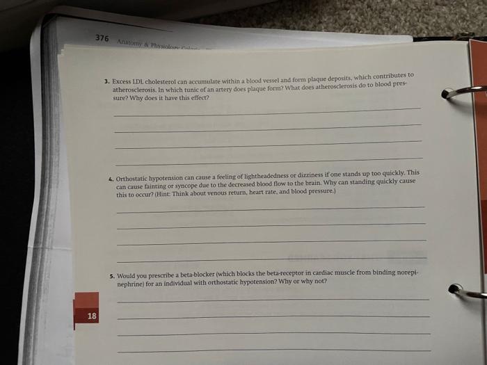 Solved B Cardiac Output C Decrease In Flow Rate C Stroke Chegg