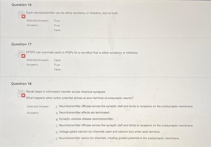 Solved Each neurotransmitter can be either excitatory or | Chegg.com
