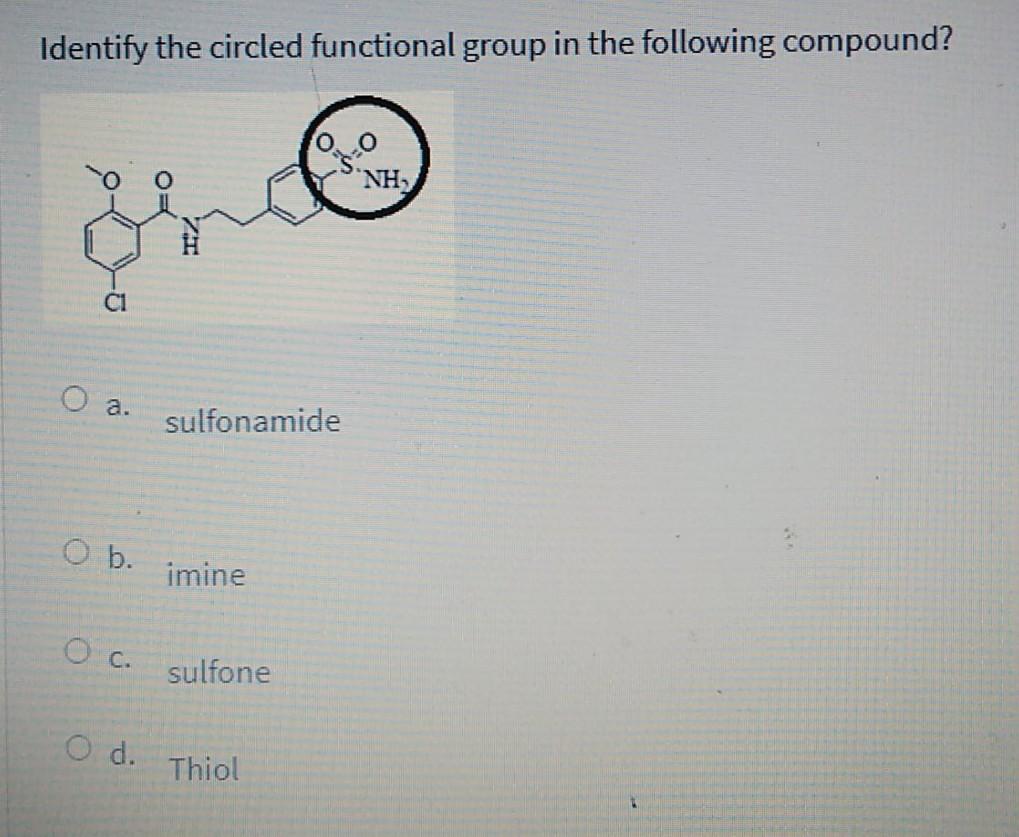 Solved Identify the circled functional group in the | Chegg.com