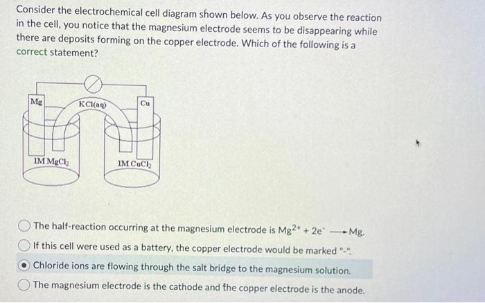 Solved Consider the electrochemical cell diagram shown | Chegg.com