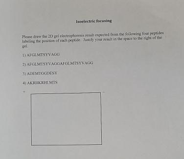 Solved Lsoelectric focusingPlease draw the 2D gel | Chegg.com