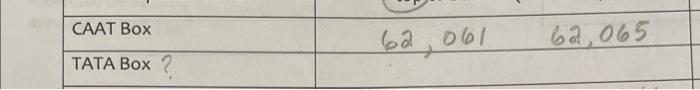 CAAT Box 62,06162,065 TATA | Chegg.com