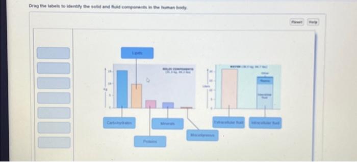 Solved put labels correctly | Chegg.com