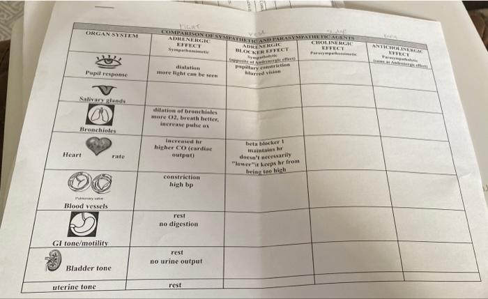 Solved ORGAN SYSTEM COMPARISON SYNTTI ANTIPARASYMPATICANTS | Chegg.com