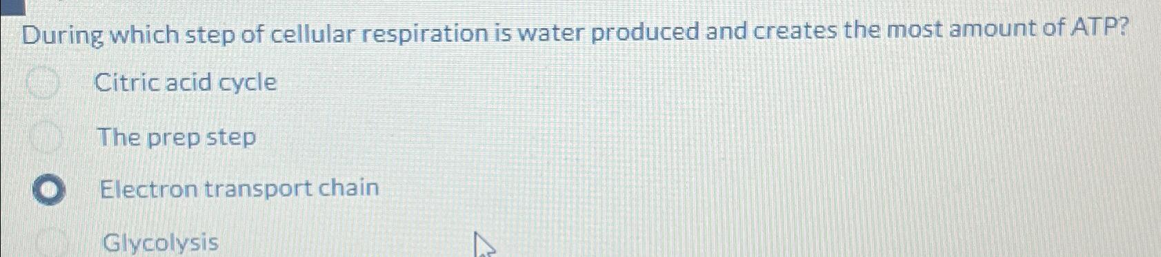 Solved During which step of cellular respiration is water | Chegg.com