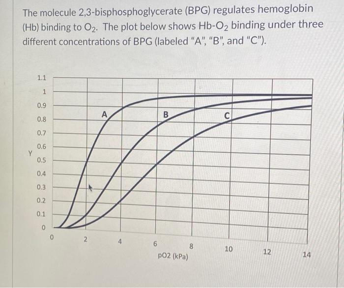 Solved The molecule 2,3-bisphosphoglycerate (BPG) regulates | Chegg.com