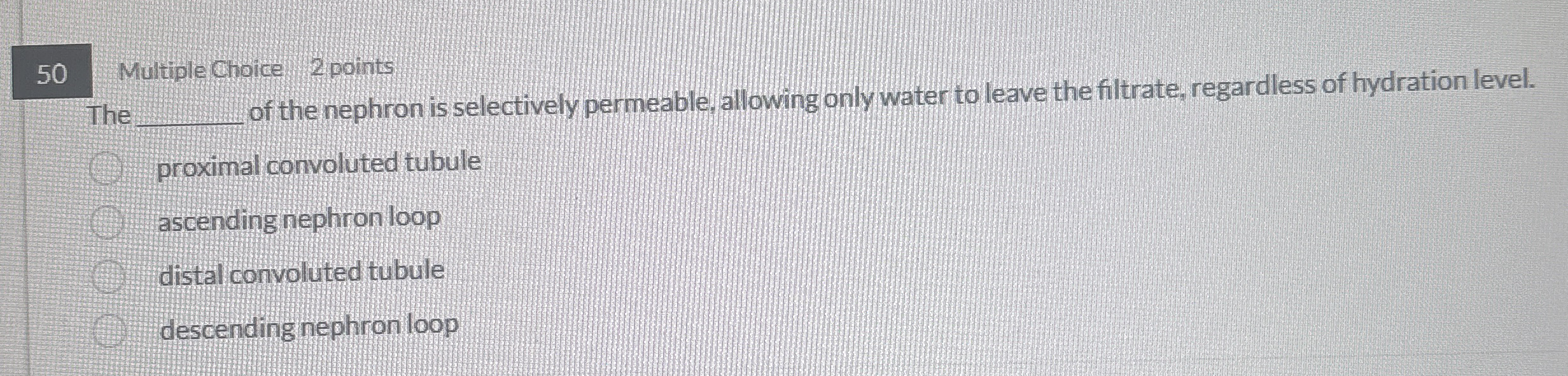 Solved 50Multiple Choice 2 ﻿pointsThe q, ﻿of the nephron is | Chegg.com