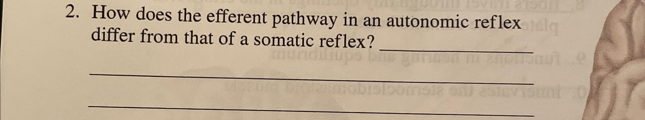 Solved How does the efferent pathway in an autonomic reflex | Chegg.com