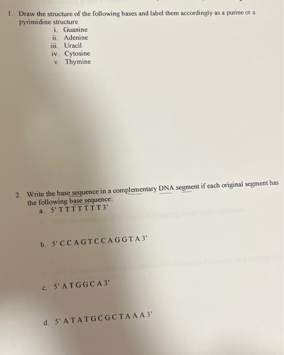 Solved 1. Draw the structure of the following bases and | Chegg.com