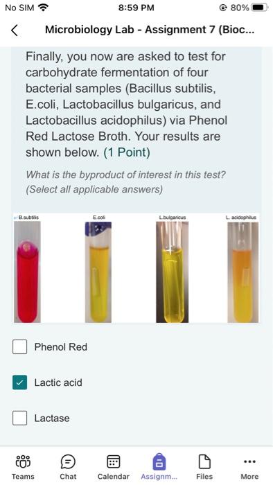 Solved Microbiology Lab - Assignment 7 (Bioc... E.coli can | Chegg.com