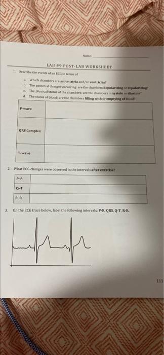 Solved LAB #9 POST-LAB WORKSHEET Describe the events of time | Chegg.com