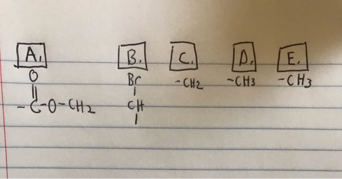 Solved molecular formula is C6H11BrO2, how would the | Chegg.com