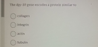 Solved The dpy-10 ﻿gene encodes a protein similar | Chegg.com