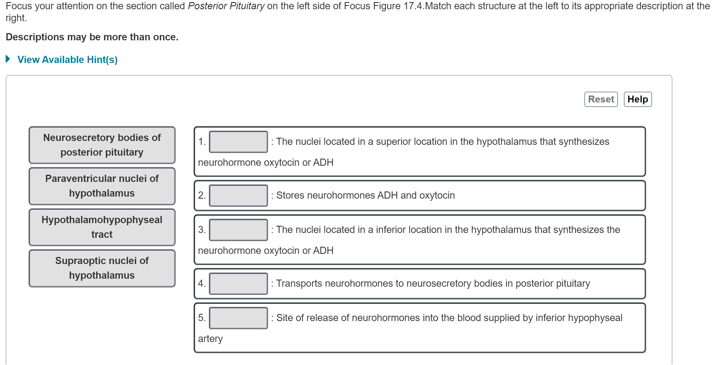 Solved Focus your attention on the section called Posterior | Chegg.com