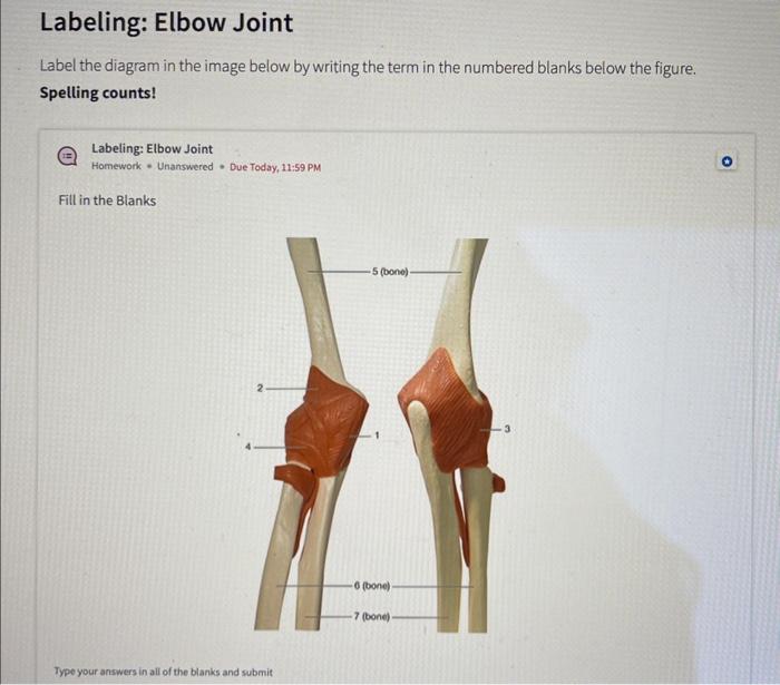 Solved Label the diagram in the image below by writing the | Chegg.com