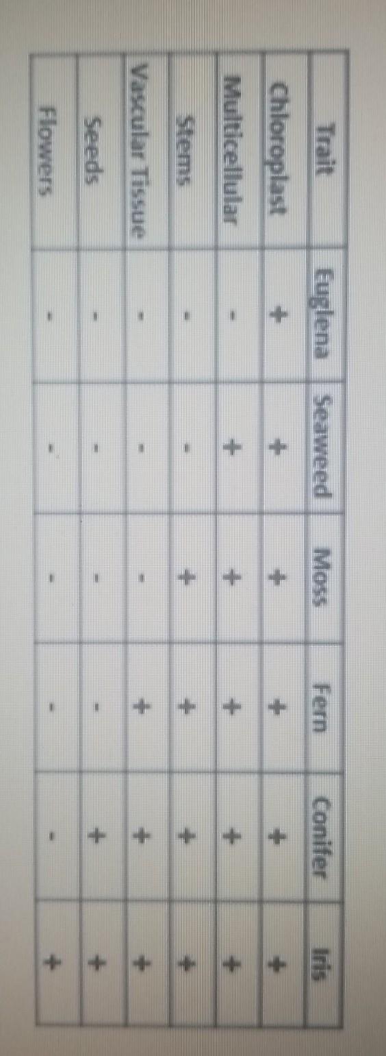Solved Using the matrix above, construct a cladogram that | Chegg.com