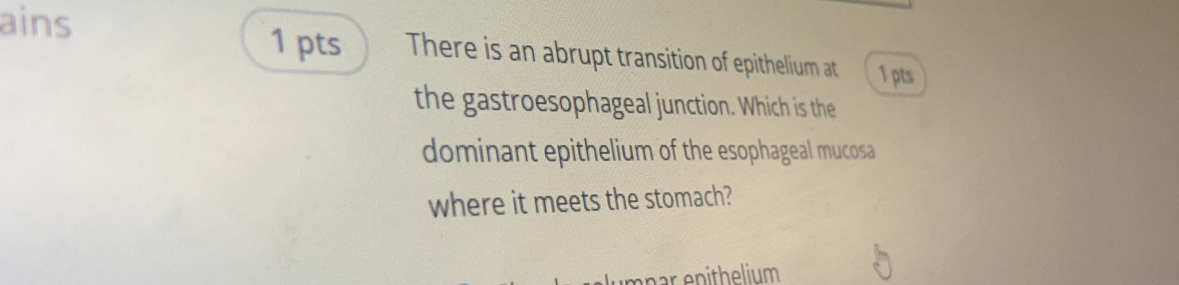 Solved ains ﻿There is an abrupt transition of epithelium at | Chegg.com