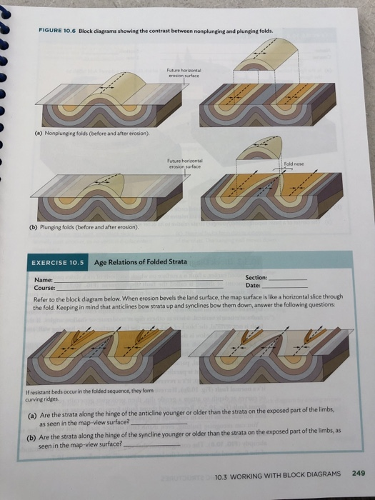 Solved FIGURE 10.5 The basic types of folds. Hinge of | Chegg.com