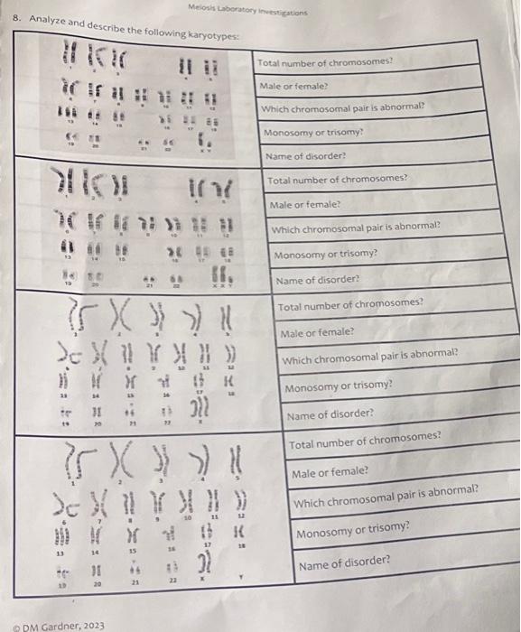 Solved Meiosis Laboratory investipations 8. Analyze and | Chegg.com