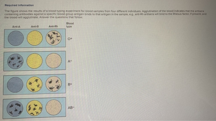 Solved Required Information The figure shows the results of | Chegg.com